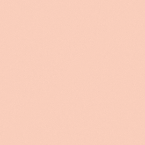 Nippon Soft Material 3D Model – Wood Color Texture