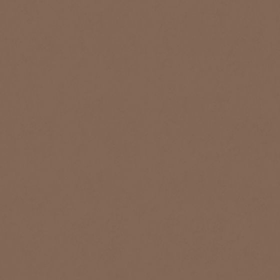 Brown Wall Paint Coating 3D Model – Textured Interior Finish